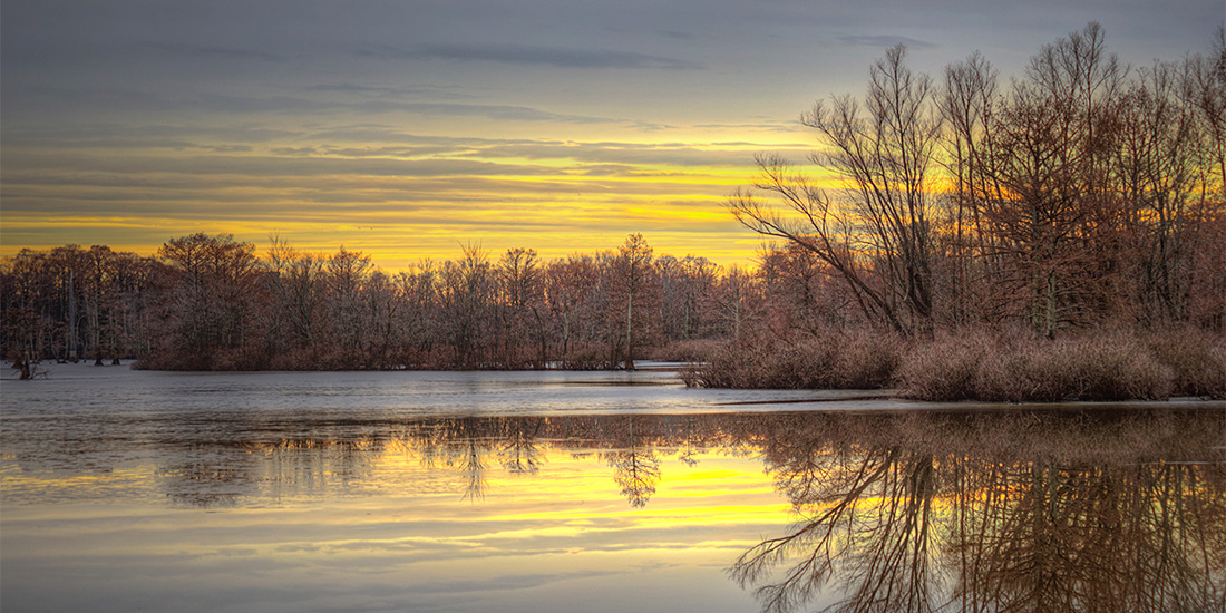 Weather - CoServ.com